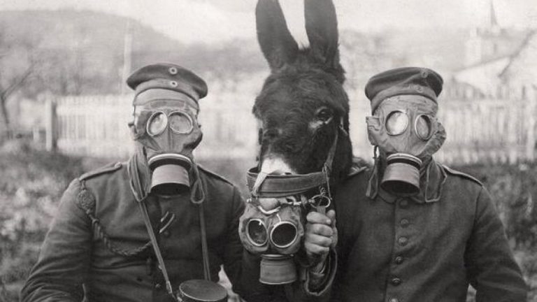 Sergeant Billy the Goat – World War 1